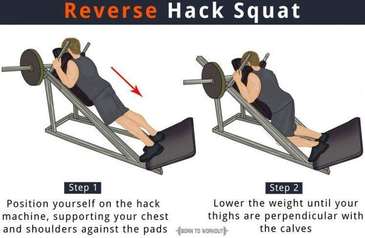 Reverse Hack Squat | Born to Workout | Born to Workout Reverse Hack Squat | Born to Workout | Born to Workout